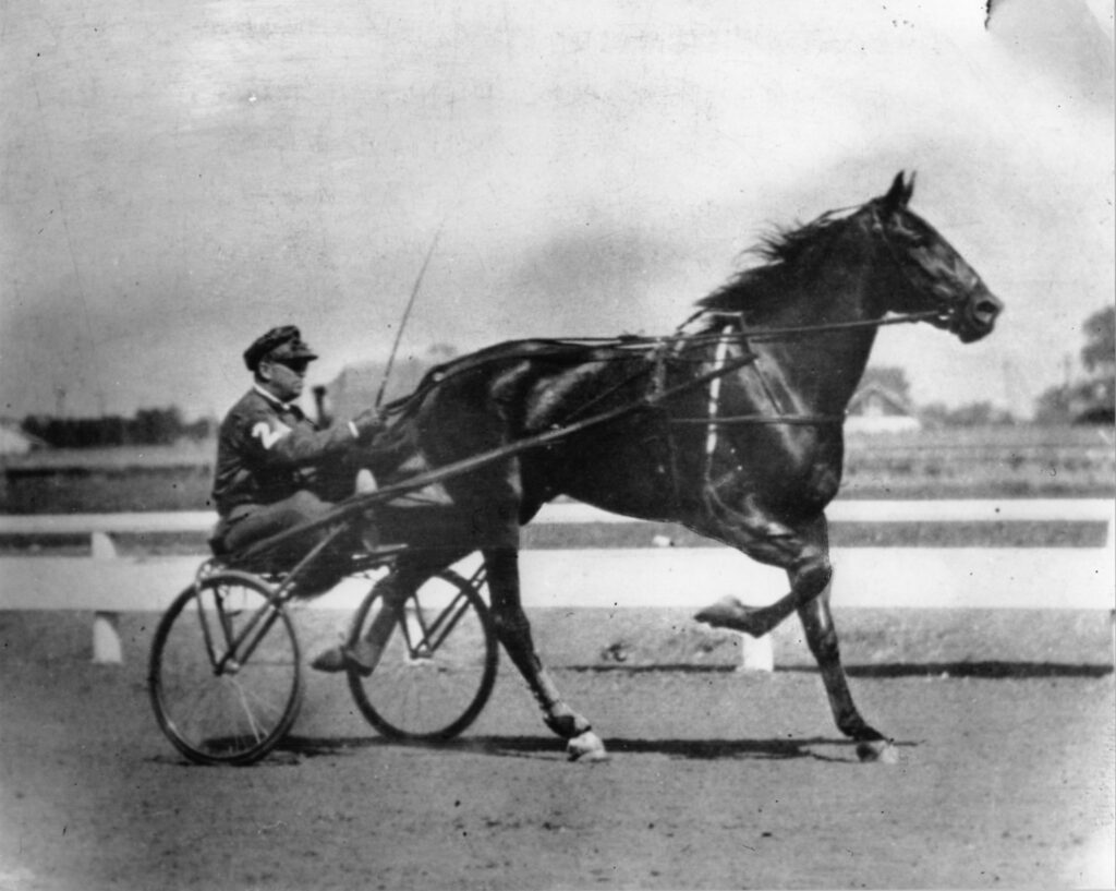 The first Hambo winner – Tales of legendary trotters