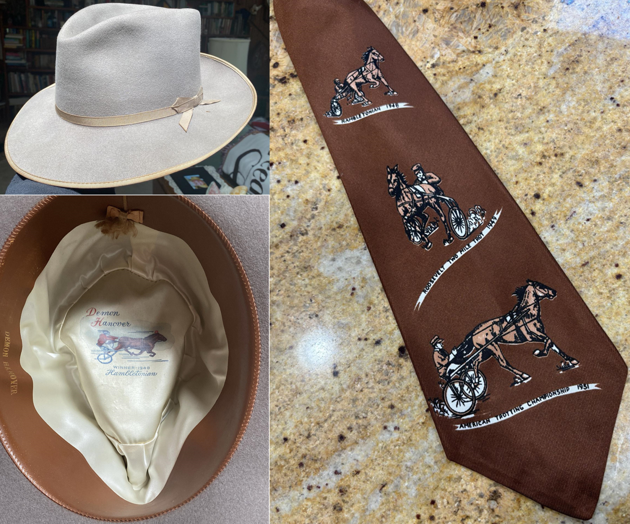 The hat horse – Tales of legendary trotters